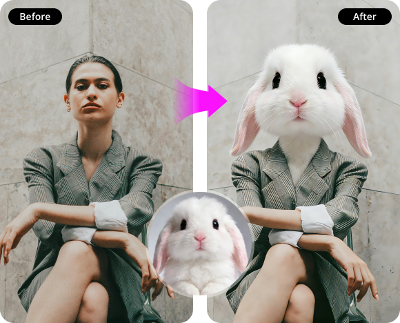 Animal Face Swap Online Free - DeepSwapFace